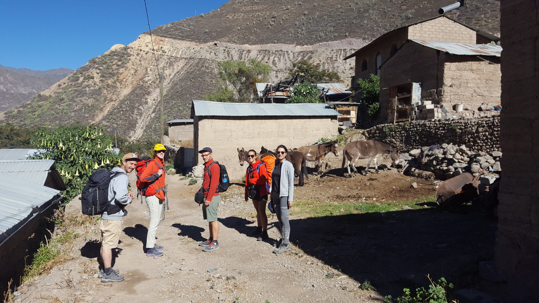 Trek du canyon de Colca en 2 jours : récit, étapes et conseils