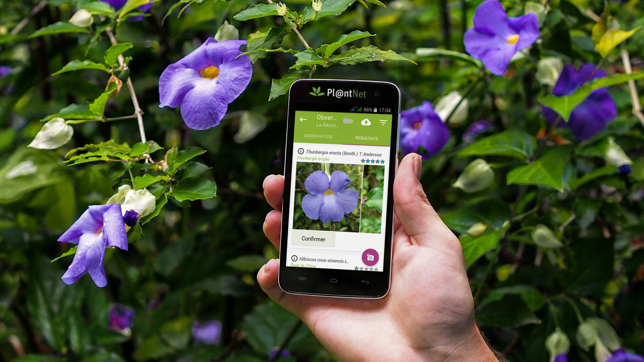 Les 6 meilleures applications de randonnée indispensables