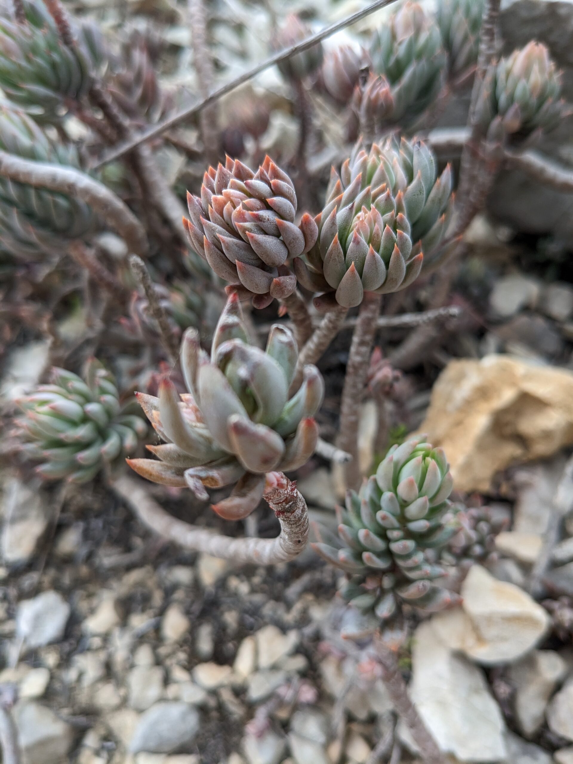 GR 98-51 Calanques Marseille-Cassis en 2 jours