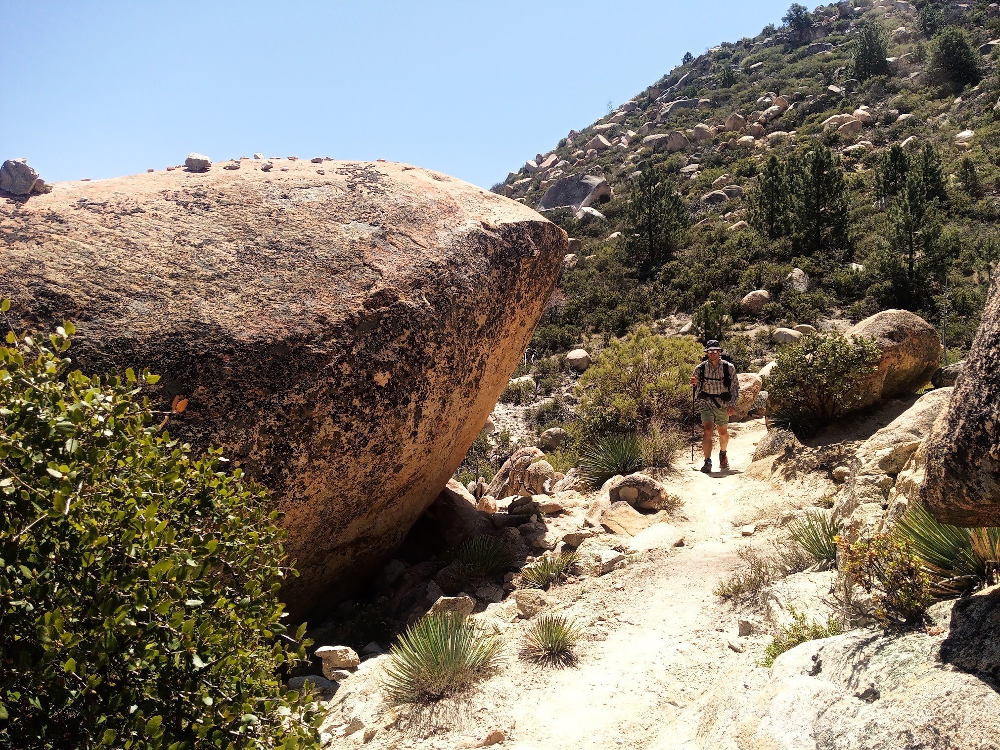 Le PCT Trail (Pacific Crest Trail) : guide et récit - 2023