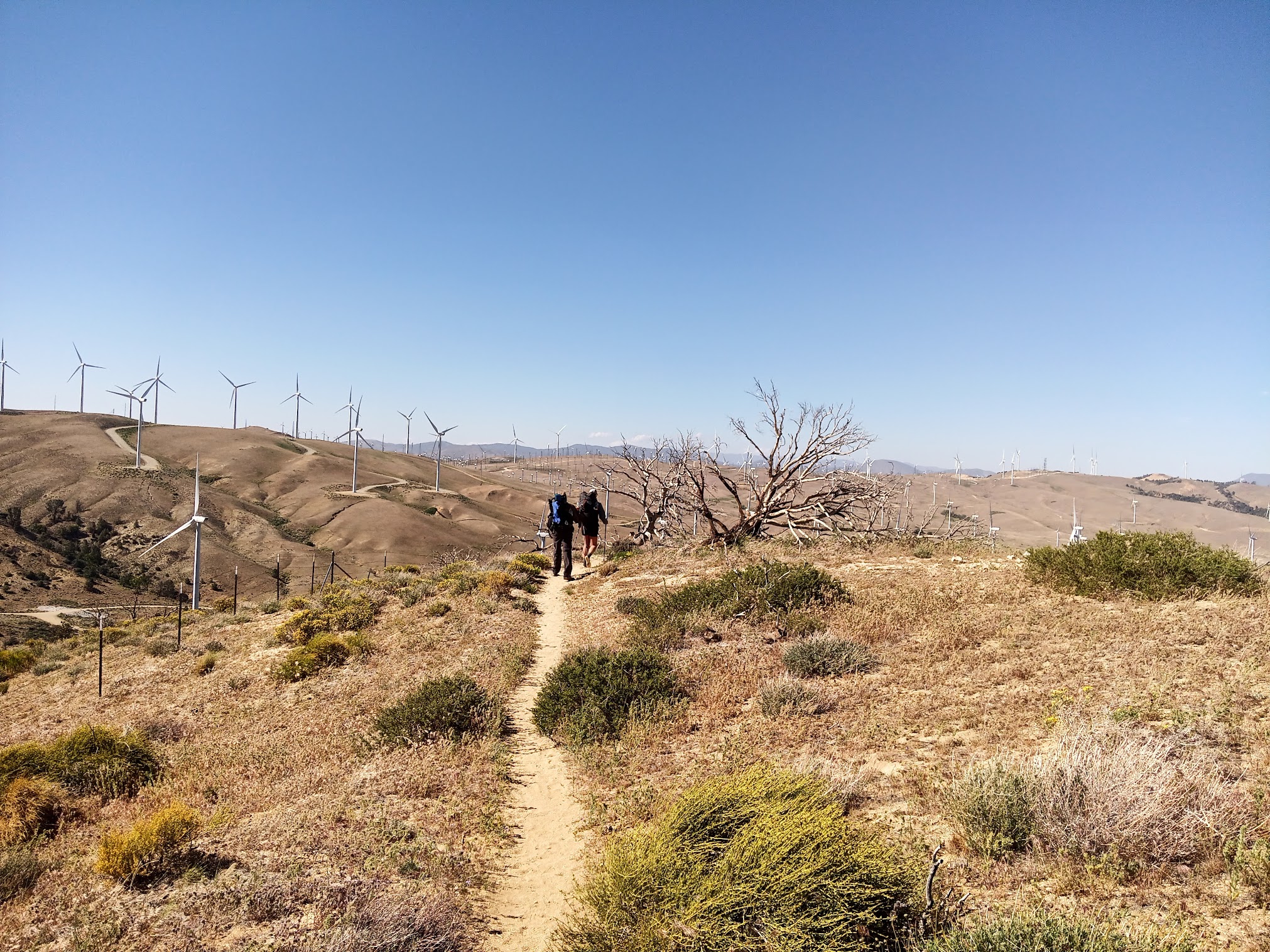 Le PCT Trail (Pacific Crest Trail) : guide et récit - 2023