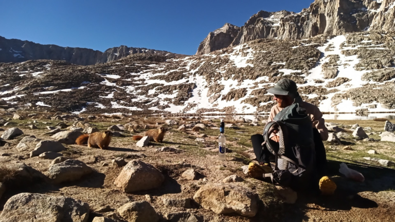 Le PCT Trail (Pacific Crest Trail) : guide et récit - 2023