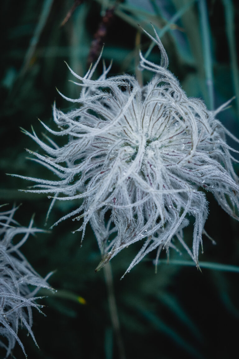 Le guide ultime du GR54 - Tour des Écrins