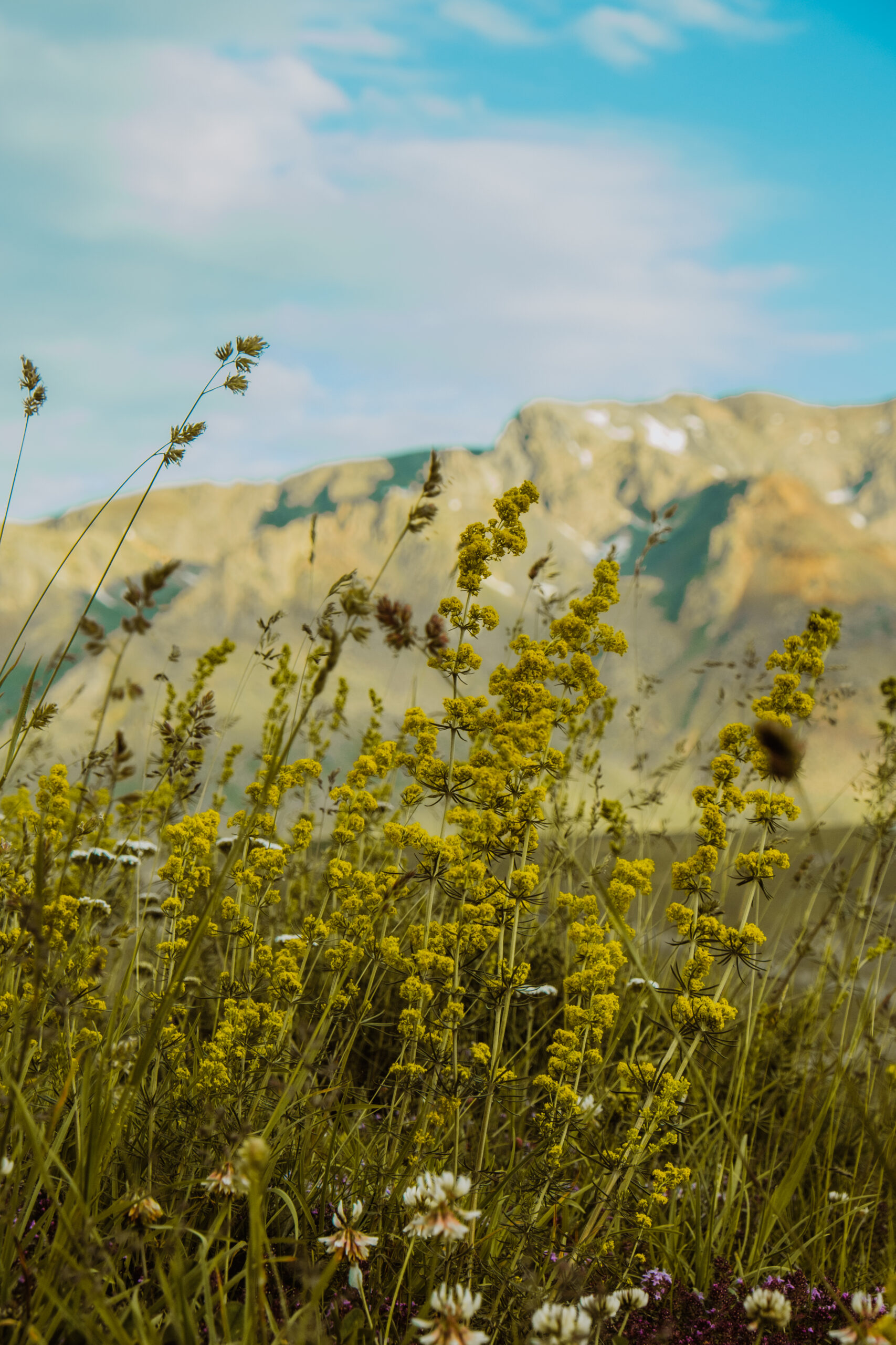 Tour des Écrins en 9 jours - GR54 - Étapes et récit