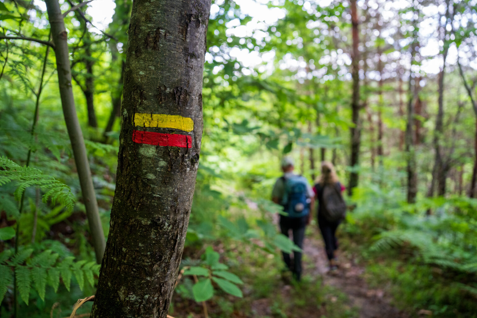 Le GR de Pays Midi Corrézien : 118 km de rando en Corrèze